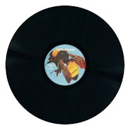 Tyler The Creator Vinyl Bezypublic